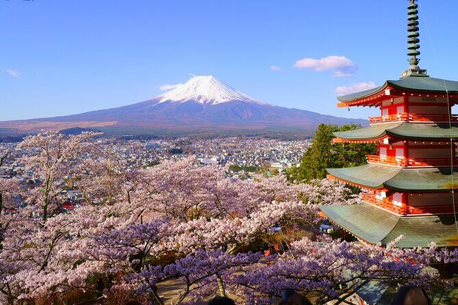 Mt. Fuji and Gotemba Outlet Private Day Trip From Tokyo - Downsides to Keep in Mind