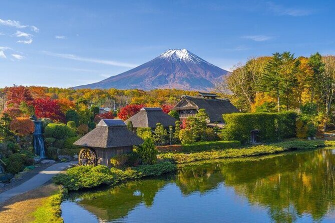 Mt. Fuji and Hakone Area Tour from Tokyo with Guide & Vehicle - Transportation and Comfort