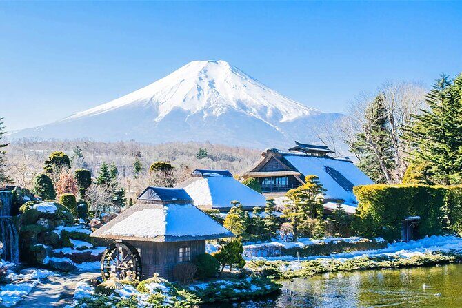Mt Fuji and Hakone Day Trip from Tokyo with Ropeway Experience - Practical Details: What You Need to Know