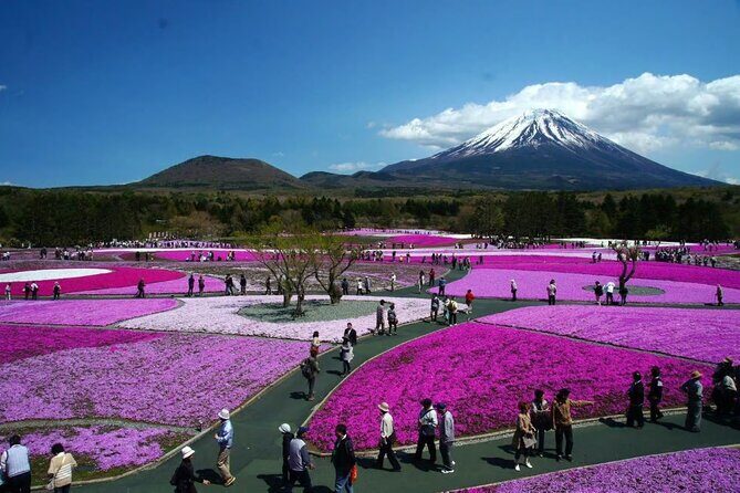 Mt Fuji and Hakone Private tour in Luxury Vehicle with Pro guide - A Deep Dive Into the Itinerary