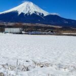 Mt. Fuji and Hakone Private Tour with English Speaking Driver - What the Experience Means for You