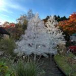 Mt Fuji and Hakone Private Tour With English Speaking Driver - The Detailed Itinerary