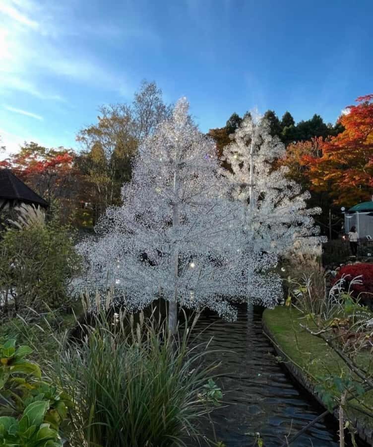 Mt Fuji and Hakone Private Tour With English Speaking Driver - The Detailed Itinerary