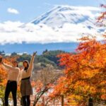 Mt. Fuji and Hakone Tour from Tokyo by Car with Local Guide - Logistics and Practicalities