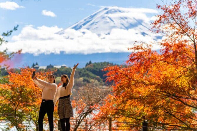 Mt. Fuji and Hakone Tour from Tokyo by Car with Local Guide - Logistics and Practicalities