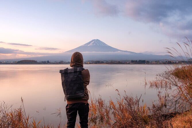 Mt Fuji and Izu Deep View 2 Day Tour from Tokyo - Who Is This Tour Best For?