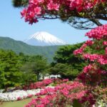 Mt Fuji and Lake Kawaguchi Day Tour With English Driver - The Real Value of This Tour