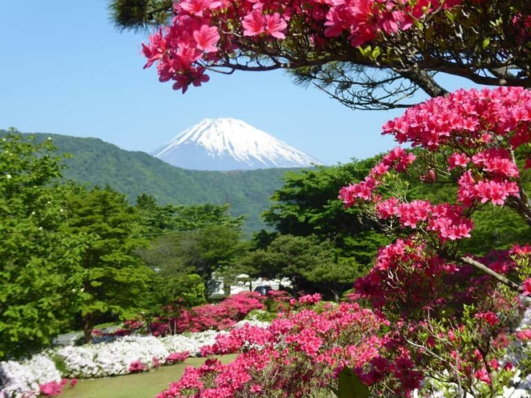 Mt Fuji and Lake Kawaguchi Day Tour With English Driver - The Real Value of This Tour