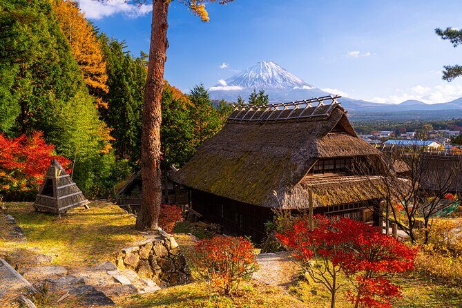 Mt. Fuji Autumn leaves And Heritage Village Trip Tokyo - Practical Details and What to Expect