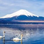 Mt Fuji Carpool Day Tour for 5 to 9 Tourists - Real Traveler Insights