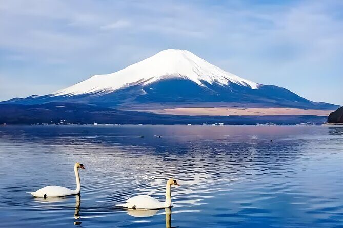 Mt Fuji Carpool Day Tour for 5 to 9 Tourists - Real Traveler Insights