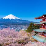Mt. Fuji Cherry Blossom One Day Tour From Tokyo - Authentic Experiences & Insights