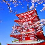 Mt Fuji Day Tour: Chureito Pagoda, Lake Kawaguchi & Oshino Hakkai - Transportation and Logistics