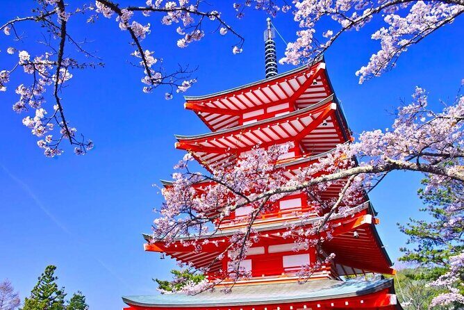Mt Fuji Day Tour: Chureito Pagoda, Lake Kawaguchi & Oshino Hakkai - Transportation and Logistics