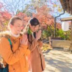 Mt.Fuji Day Trip from Tokyo:Strawberry,Tea Farm(Small Group) - Practical Details: What You Need to Know