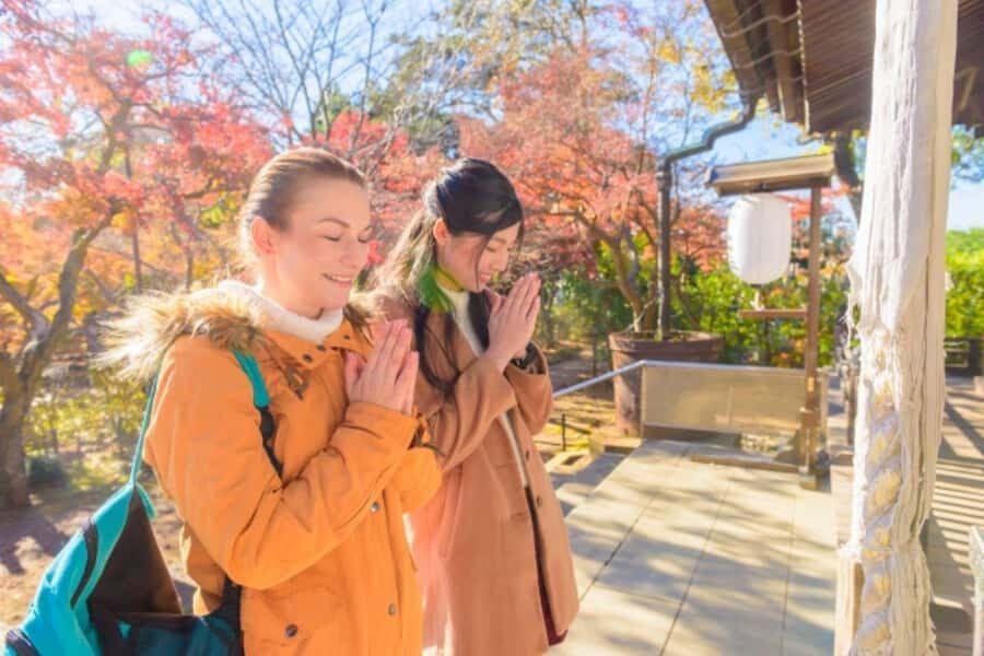 Mt.Fuji Day Trip from Tokyo:Strawberry,Tea Farm(Small Group) - Practical Details: What You Need to Know