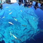 Mt. Fuji Day Trip: Oshino Hakkai, Lake Kawaguchi & Ladder Town - Value for Money and Practical Tips