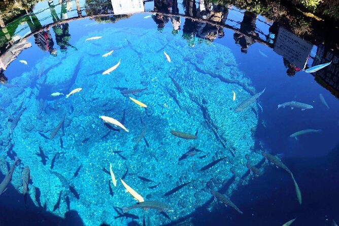 Mt. Fuji Day Trip: Oshino Hakkai, Lake Kawaguchi & Ladder Town - Value for Money and Practical Tips