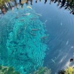 Mt. Fuji Early Morning E-Bike Tour - Why This Tour Offers Excellent Value