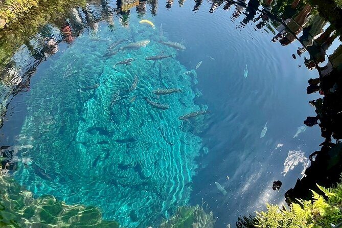 Mt. Fuji Early Morning E-Bike Tour - Why This Tour Offers Excellent Value