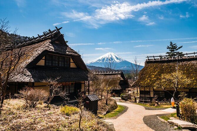 Mt Fuji Full Day Private Tour from Tokyo with English Driver - The Value of a Fully Private, Customizable Tour