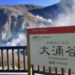 Mt. Fuji, Hakone Pirate Ship, Owakudani Ropeway, Gotemba Outlets - Who Is This Tour Best For?