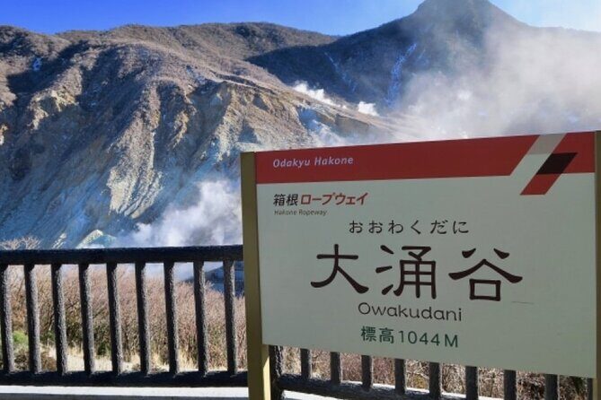 Mt. Fuji, Hakone Pirate Ship, Owakudani Ropeway, Gotemba Outlets - Who Is This Tour Best For?