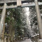 Mt Fuji Hidden Gems with Local Expert Guide - Why This Tour Offers Good Value