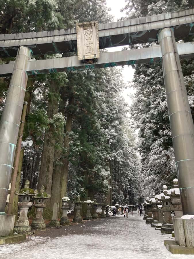 Mt Fuji Hidden Gems with Local Expert Guide - Why This Tour Offers Good Value