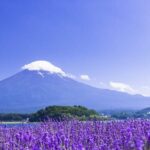 Mt. Fuji Hikawa Clock Shop Oshino Hakkai and Oishi Park Day Trip - What Travelers Are Saying