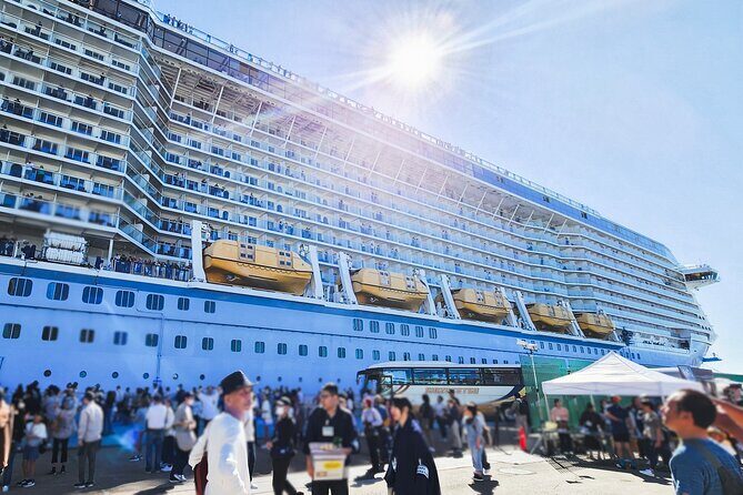 Mt. Fuji Hiking from Shimizu Port - Authentic Traveler Insights