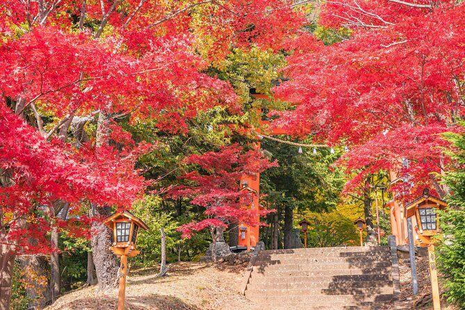 Mt. Fuji Instagram Spots Day Trip Oshino Hakkai Oishi Park & More - Is the Price Justified?