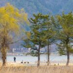 Mt. Fuji Kawaguchiko Earthquake Experience Museum Day Tour - The Sum Up