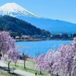 Mt Fuji Lake Kawaguchi and Yamanakako Onsen Tour from Tokyo - Authenticity and Value