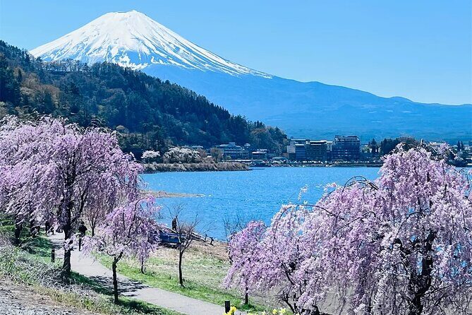 Mt Fuji Lake Kawaguchi and Yamanakako Onsen Tour from Tokyo - Authenticity and Value