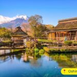 Mt Fuji & Lake Kawaguchi Private Day Trip from Tokyo - The Value and Practicalities