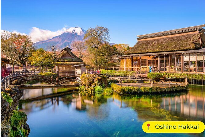 Mt Fuji & Lake Kawaguchi Private Day Trip from Tokyo - The Value and Practicalities