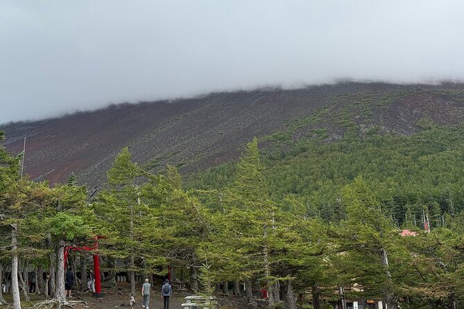 Mt. Fuji Luxury Getaway and Hakone Adventure by Private Car - Practical Tips for Booking and Enjoying the Tour