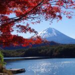 Mt.Fuji, Oshino Hakkai, Gotemba Outlet 1 Day Tour from Tokyo - Why This Tour Offers Good Value