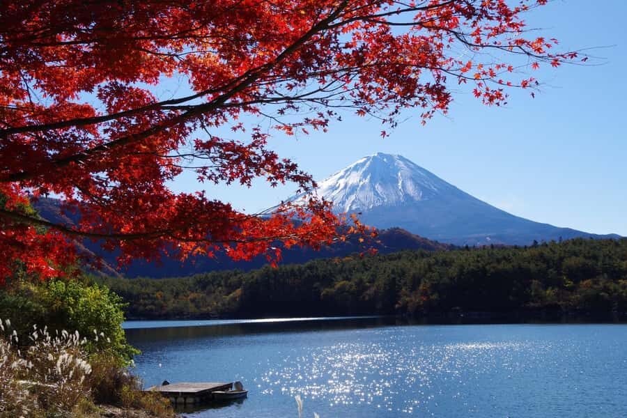 Mt.Fuji, Oshino Hakkai, Gotemba Outlet 1 Day Tour from Tokyo - Why This Tour Offers Good Value