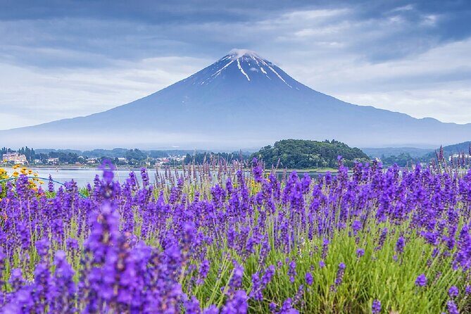 Mt Fuji Pilgrimage Full Day Tour with 7 Must See Scenic Spots - The Value of This Tour