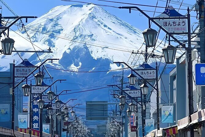 Mt. Fuji Private Customized Day Tour - What Travelers Can Expect