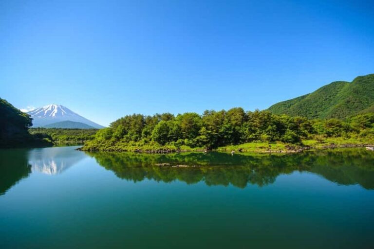Mt. Fuji Private Day Tour: Luxury Car, Pagoda & Hidden Gems - Practical Details: Why This Tour Works