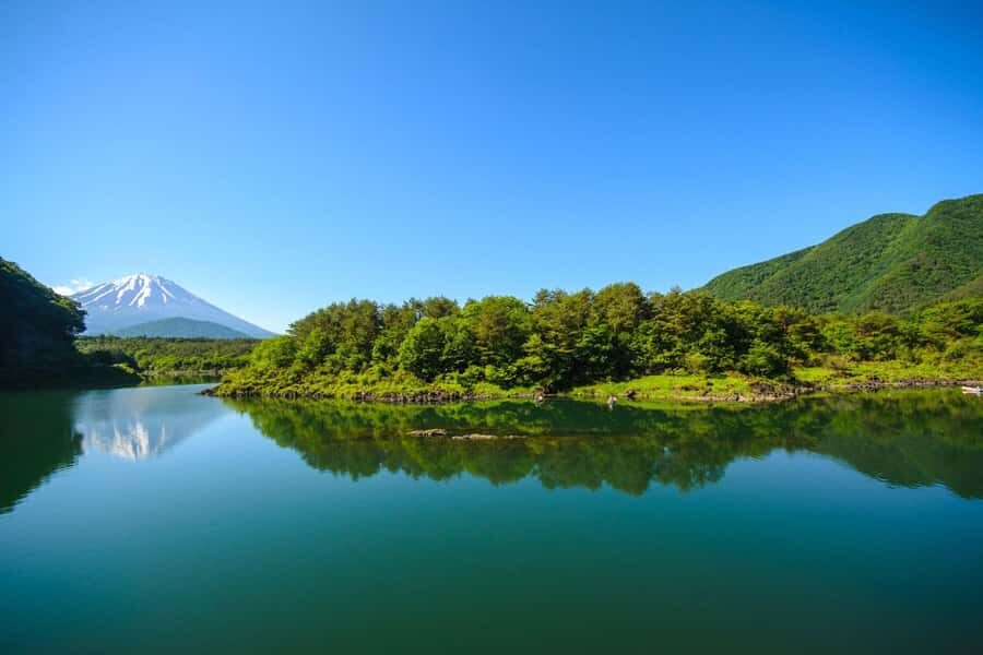 Mt. Fuji Private Day Tour: Luxury Car, Pagoda & Hidden Gems - Practical Details: Why This Tour Works