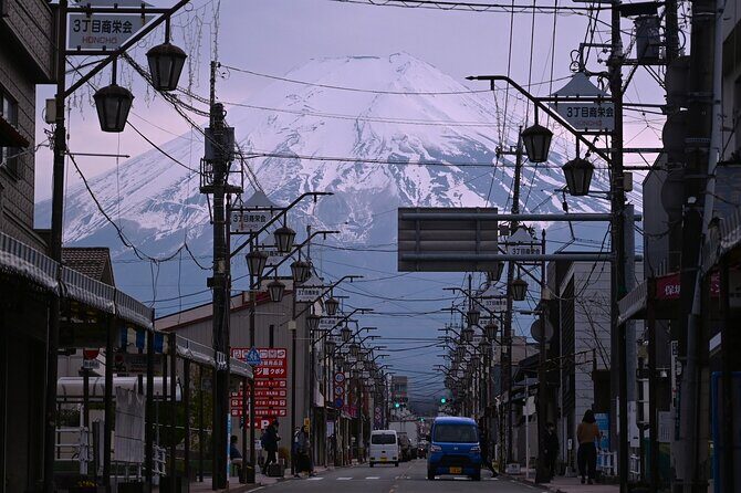 Mt.Fuji Private Day Trip from Tokyo with Driver & Top Photo Spots - Who Would Enjoy This Tour Most?