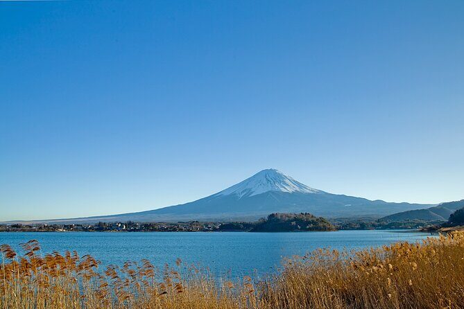 Mt Fuji Private Day Trip from Tokyo with English Speaking Driver - Who Should Consider This Tour?