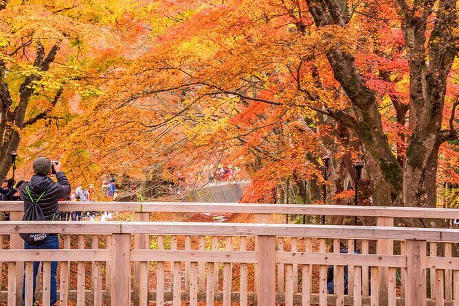 Mt. Fuji Scenic Day Tour Arakurayama Tendi Oshino and Kawaguchiko - What’s Included and What’s Not
