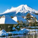 Mt. Fuji Scenic Tour: Lakes, Oshino Hakkai & Chureito PagodaTour - What Makes This Tour Stand Out?