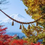 Mt. Fuji Scenic Train & Lake Kawaguchi Day Tour from Tokyo - Transportation and Overall Experience