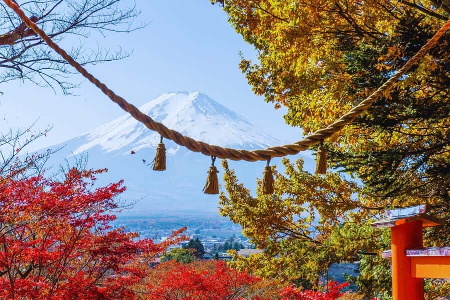 Mt. Fuji Scenic Train & Lake Kawaguchi Day Tour from Tokyo - Transportation and Overall Experience